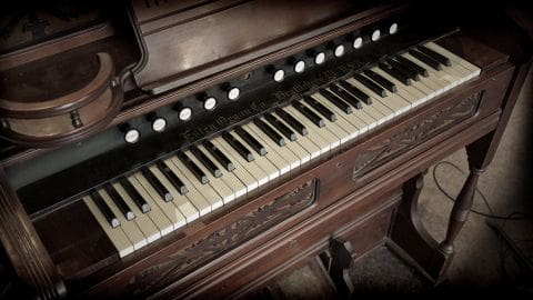 Reed Instrument | Reed Instrument Samples | Мusic Gateway